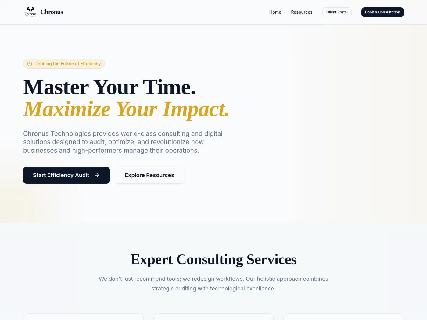 Chronus Consulting Site