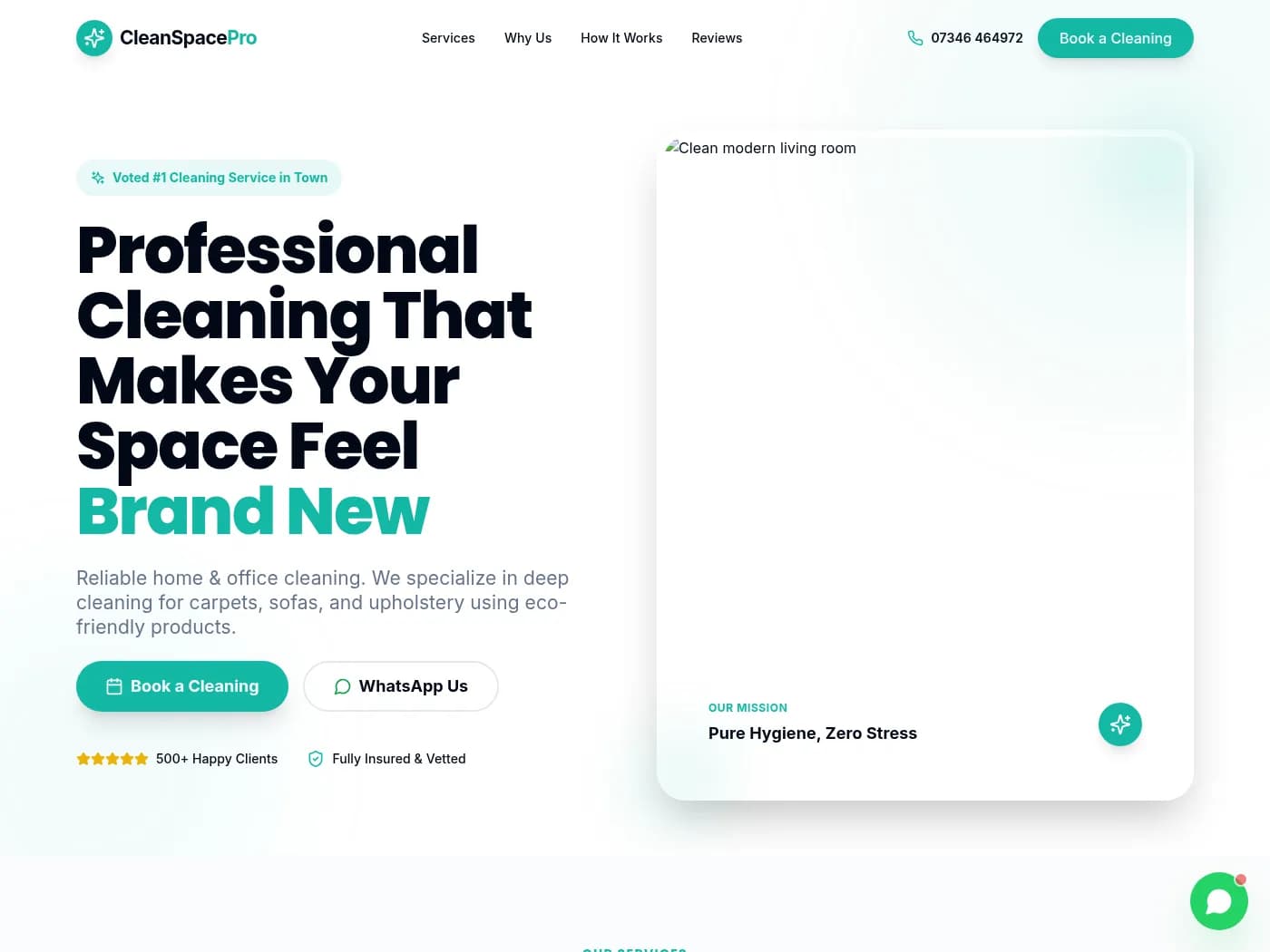 CleanSpace Pro Website