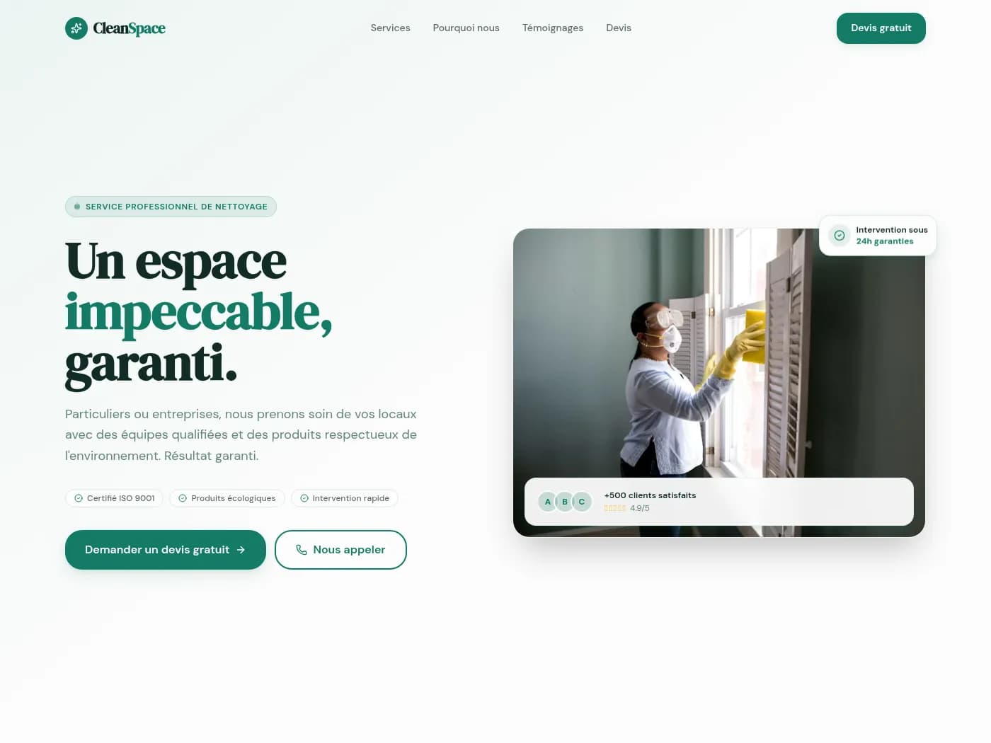 CleanSpace Web Presence