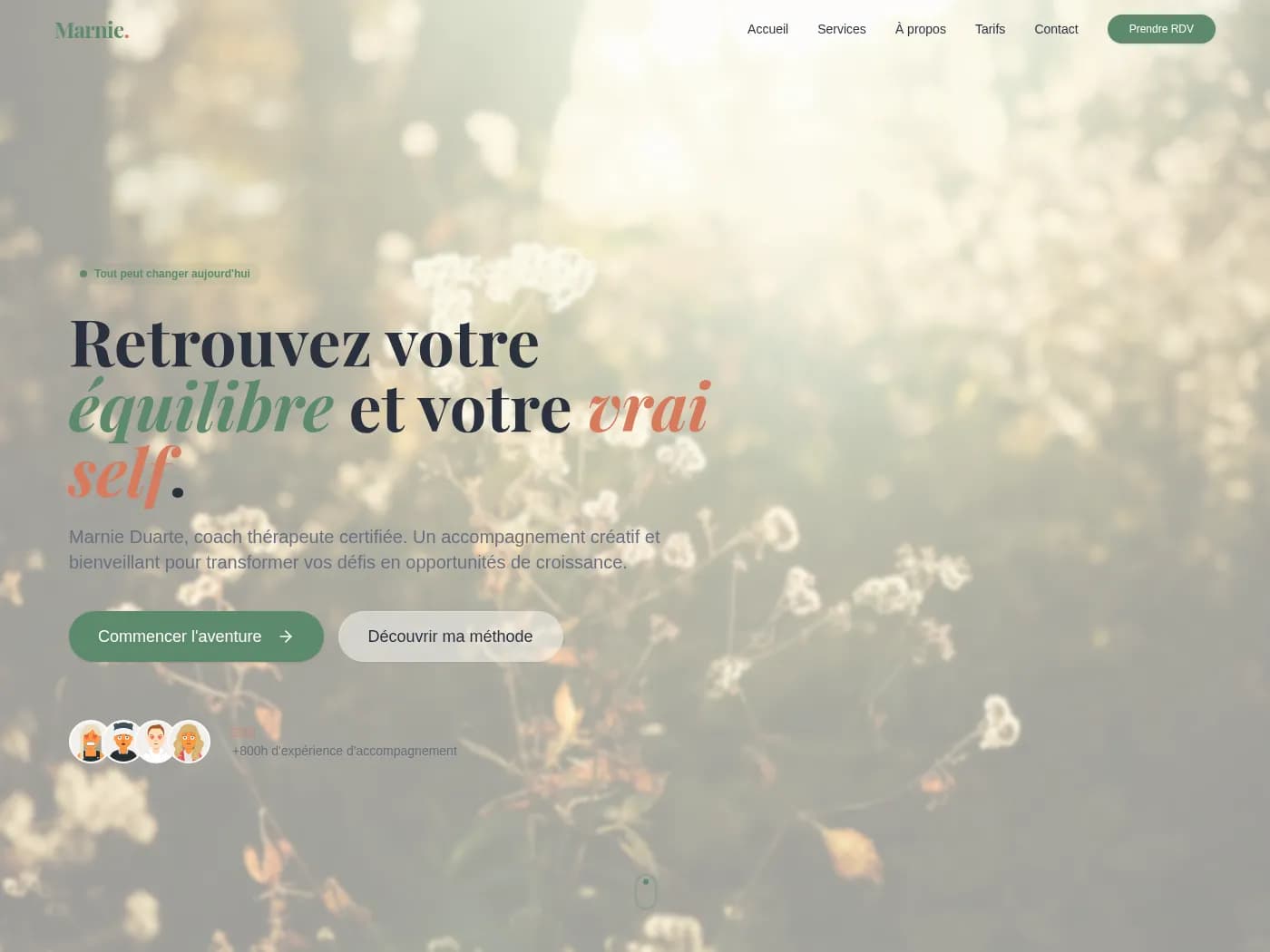 CoachPro Web Presence