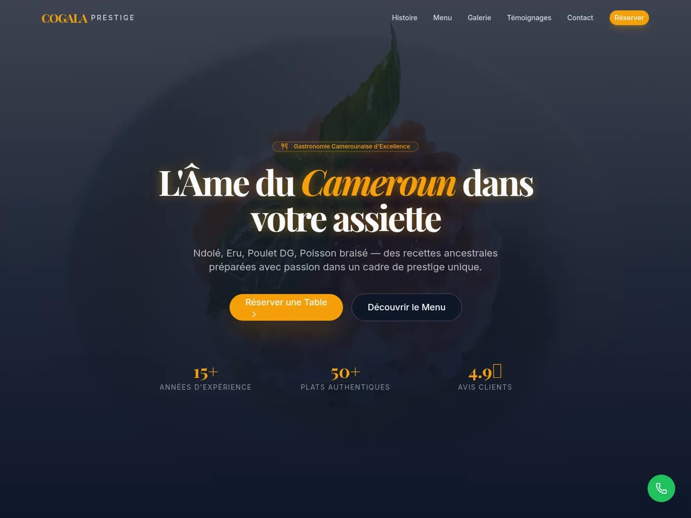 Cogala Pro Web