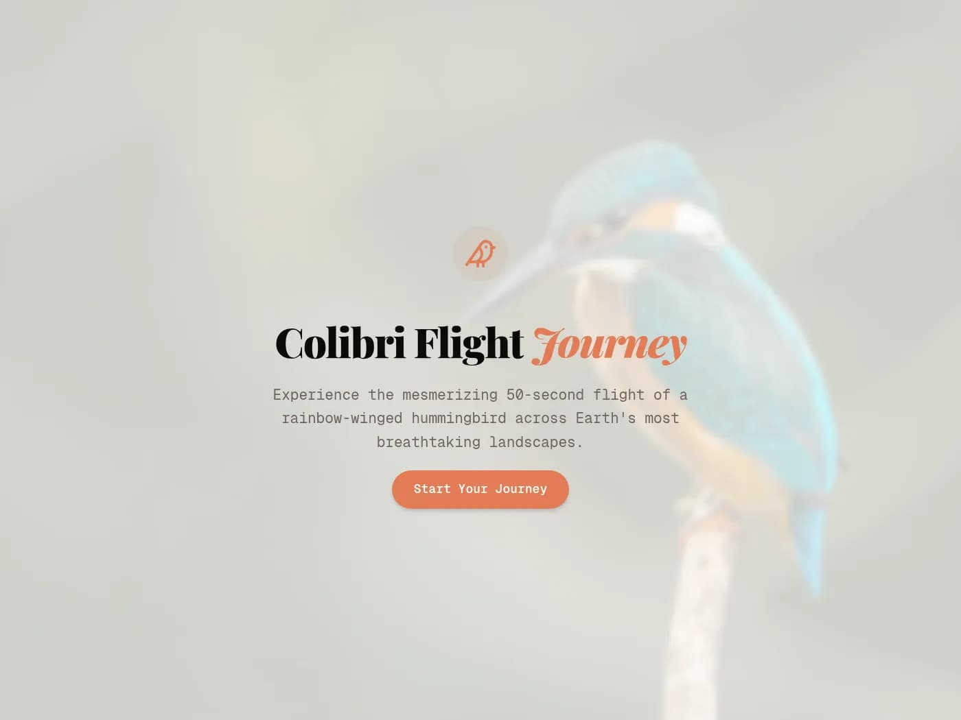 Colibri Flight Video
