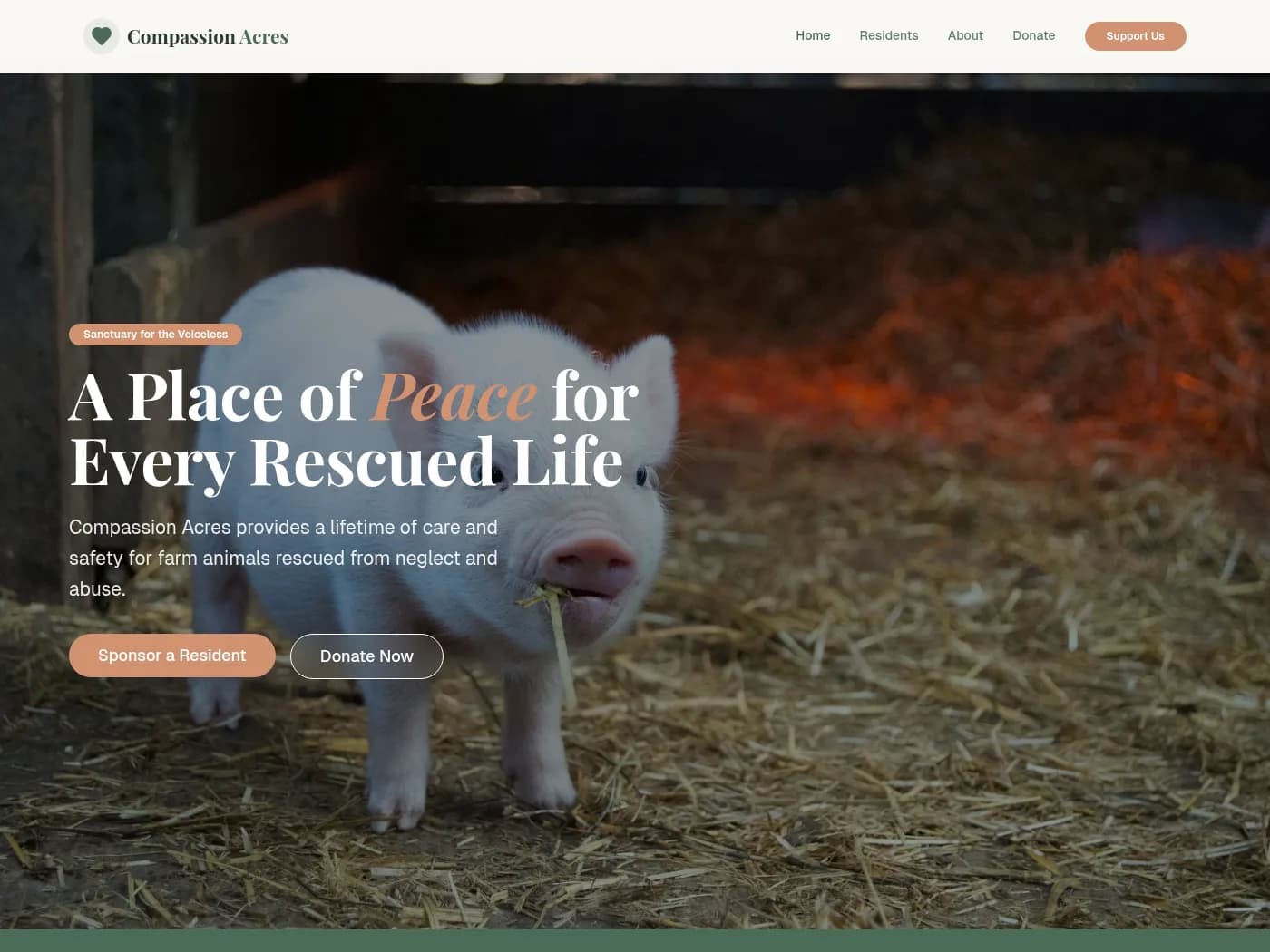Compassion Acres Redesign