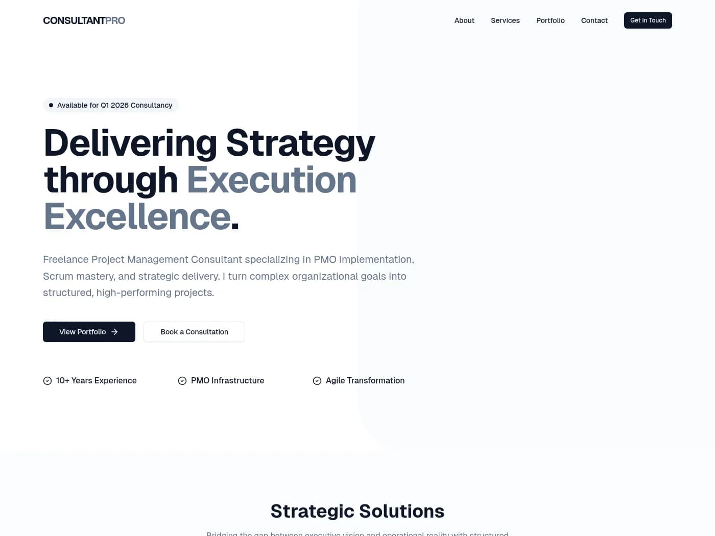 Project management consultant