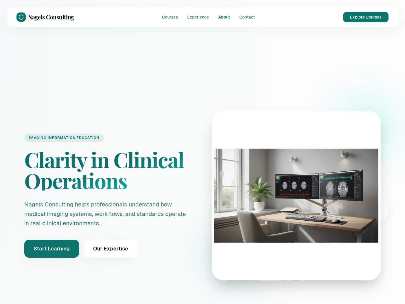 Nagels Consulting About Page