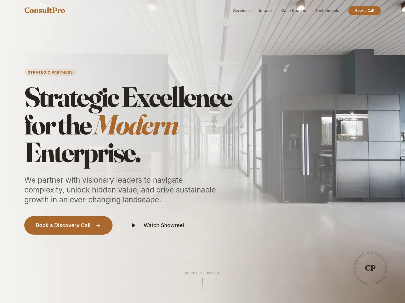 ConsultPro Website