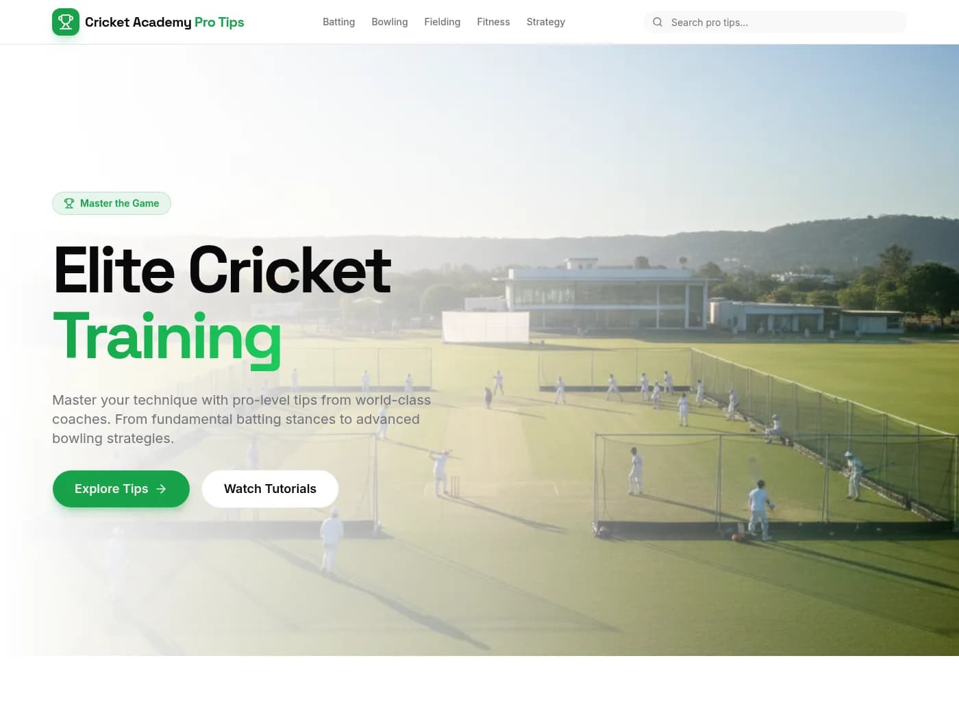 Cricket Academy Tips