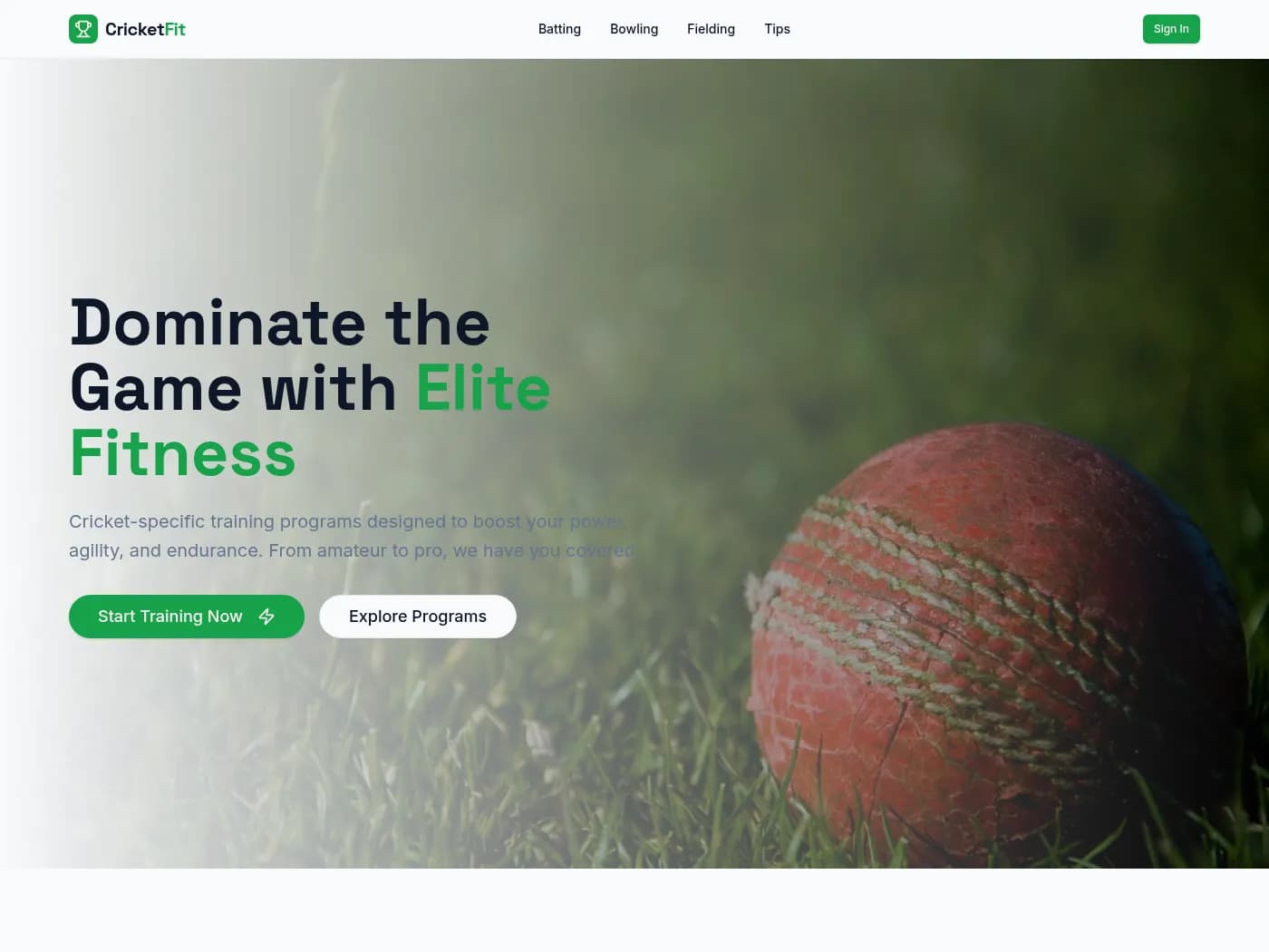 CricketFit Insights