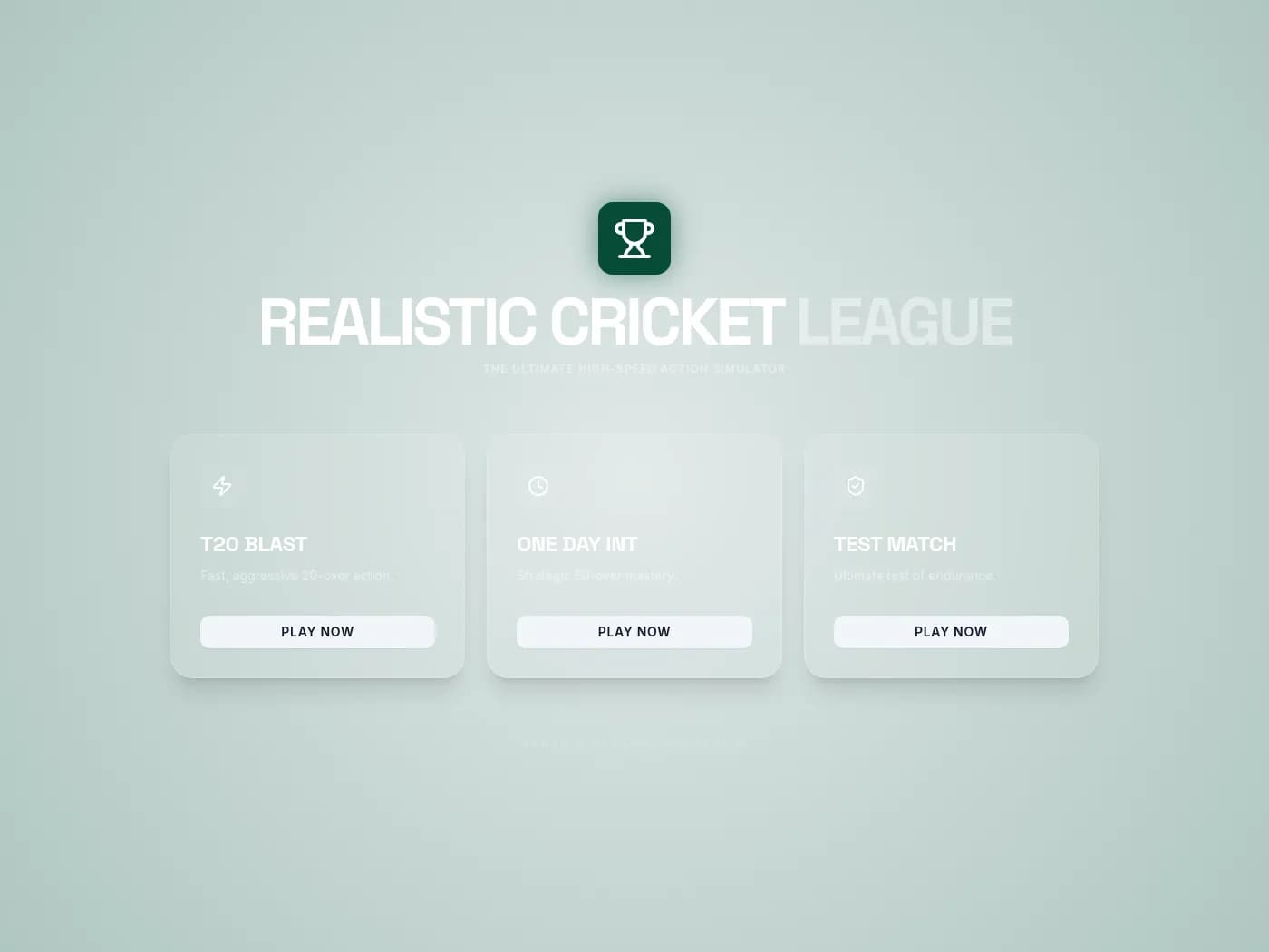 Realistic Cricket Simulator