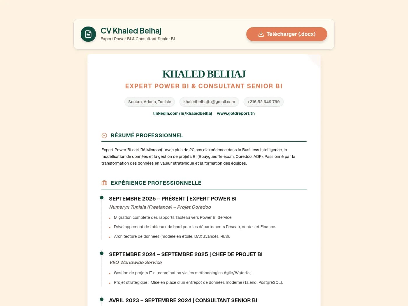 CV Perfection Assistant