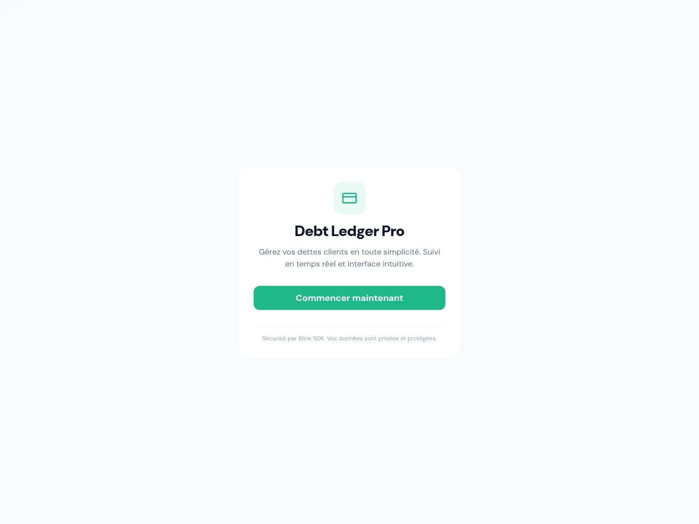 Debt Ledger Pro