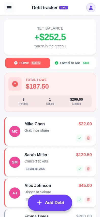 DebtTracker Pro