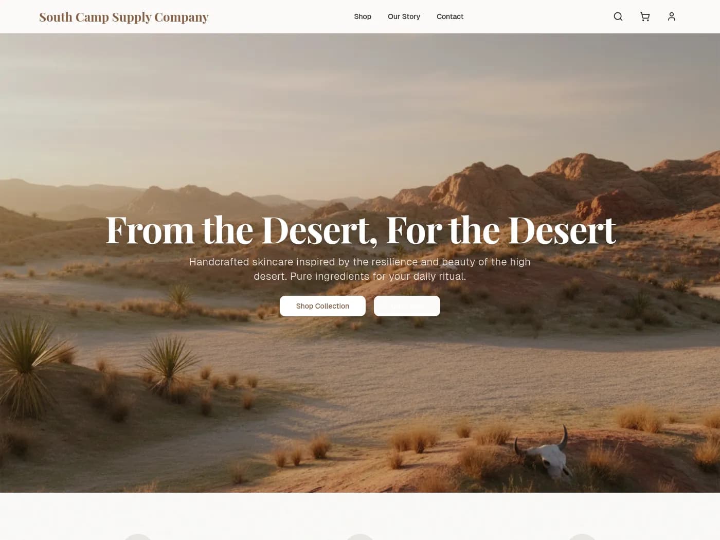 South Camp Supply Company