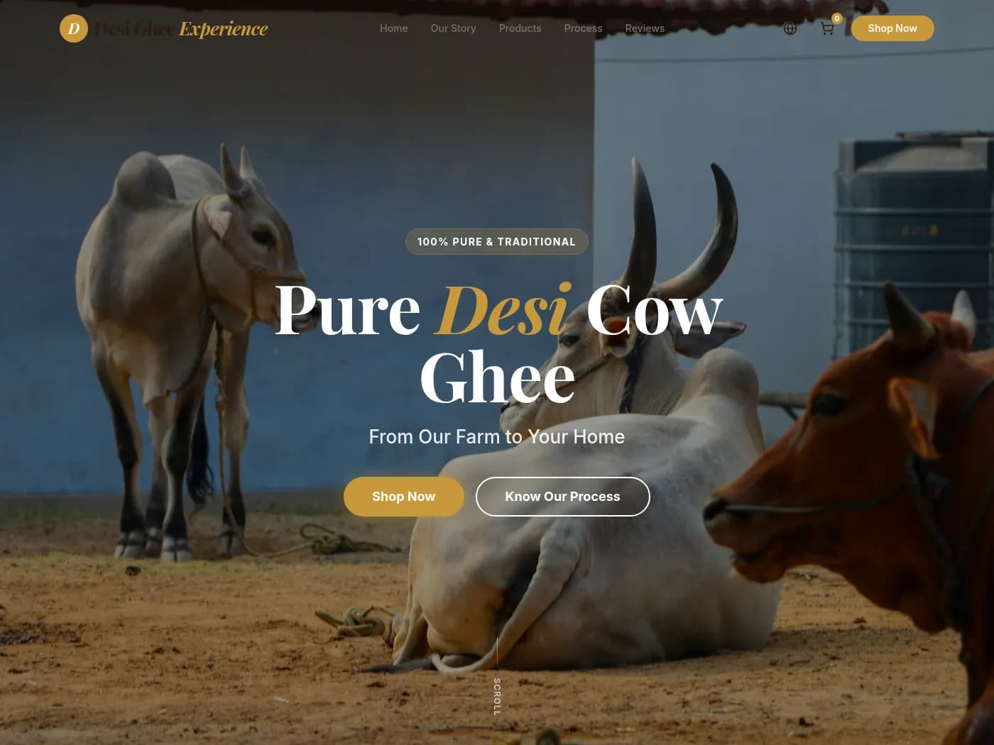 Desi Ghee Experience