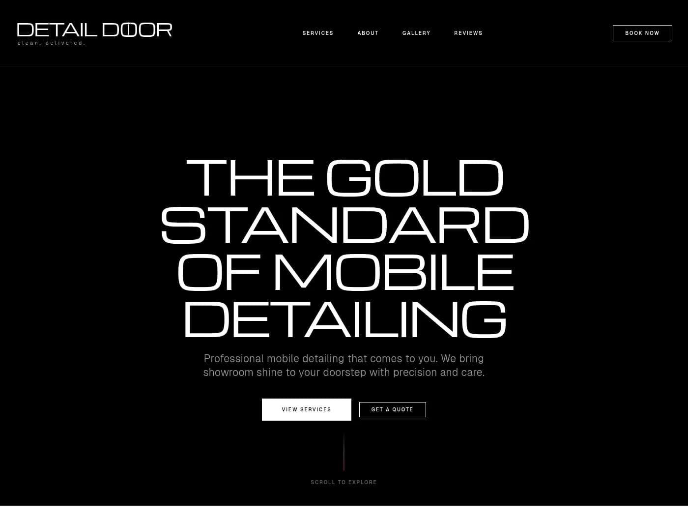Detail Door Web Launch
