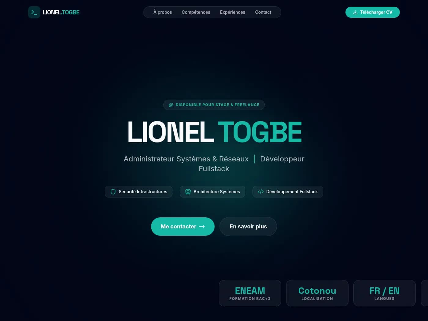 Dev Portfolio Pro