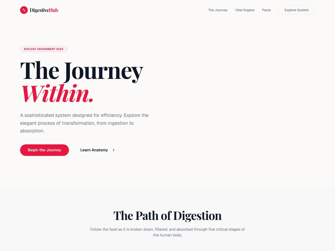 Digestive System Hub