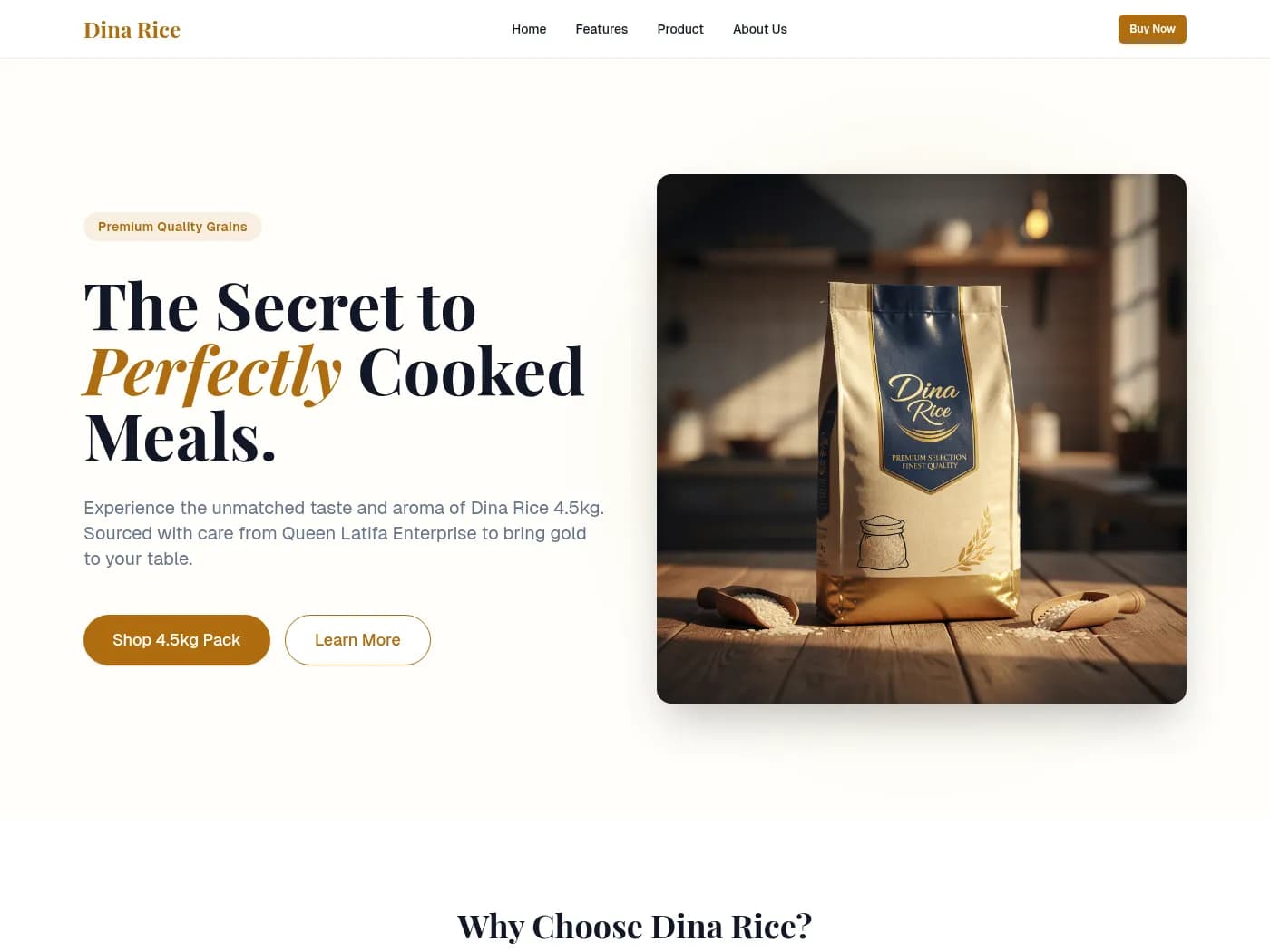 Dina Rice Promo Site