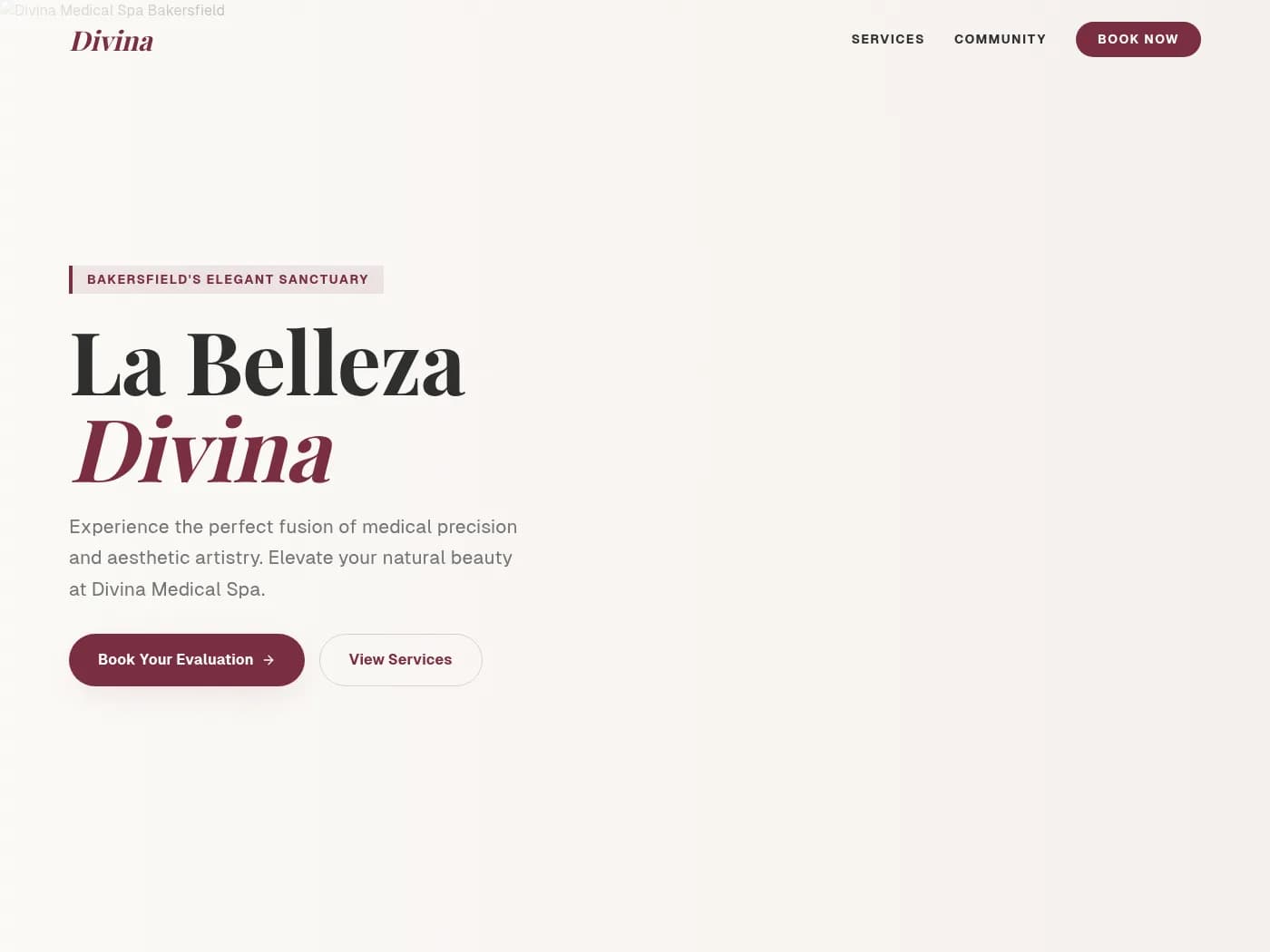 Divina Med Spa Website