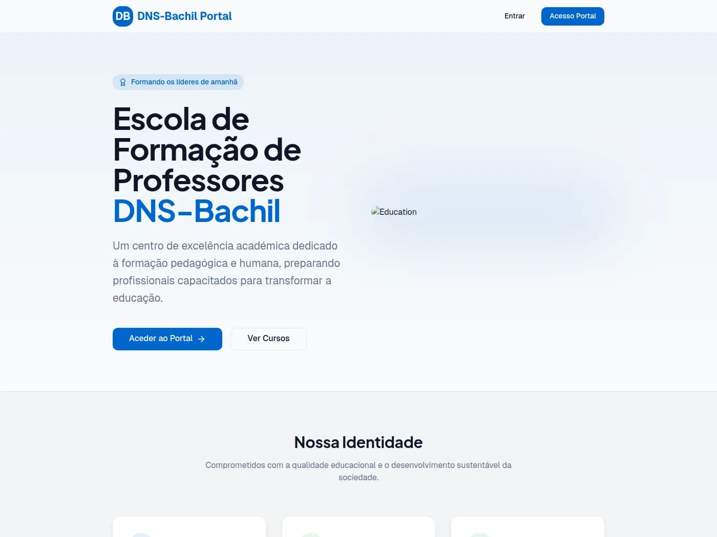 DNS-Bachil Portal
