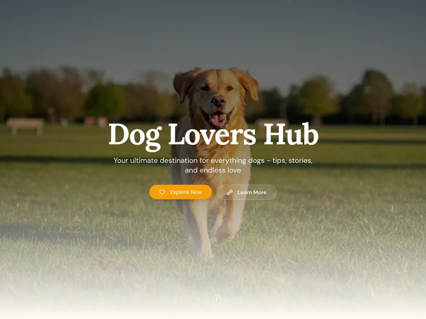 Dog Lovers Hub