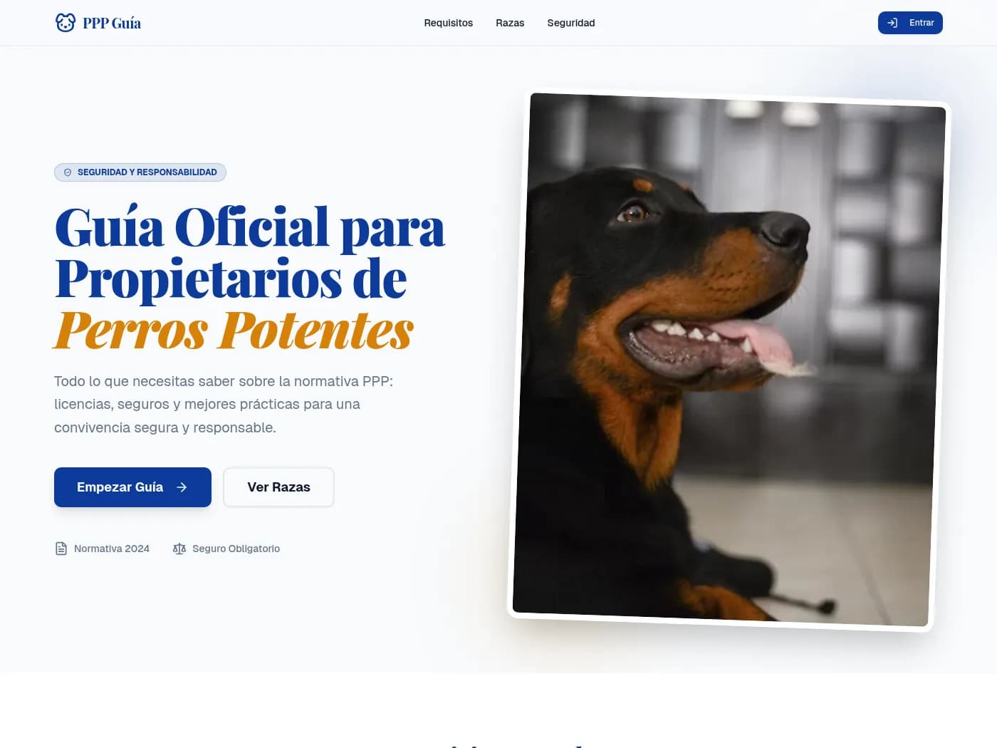 Dog Owner Safety Guide