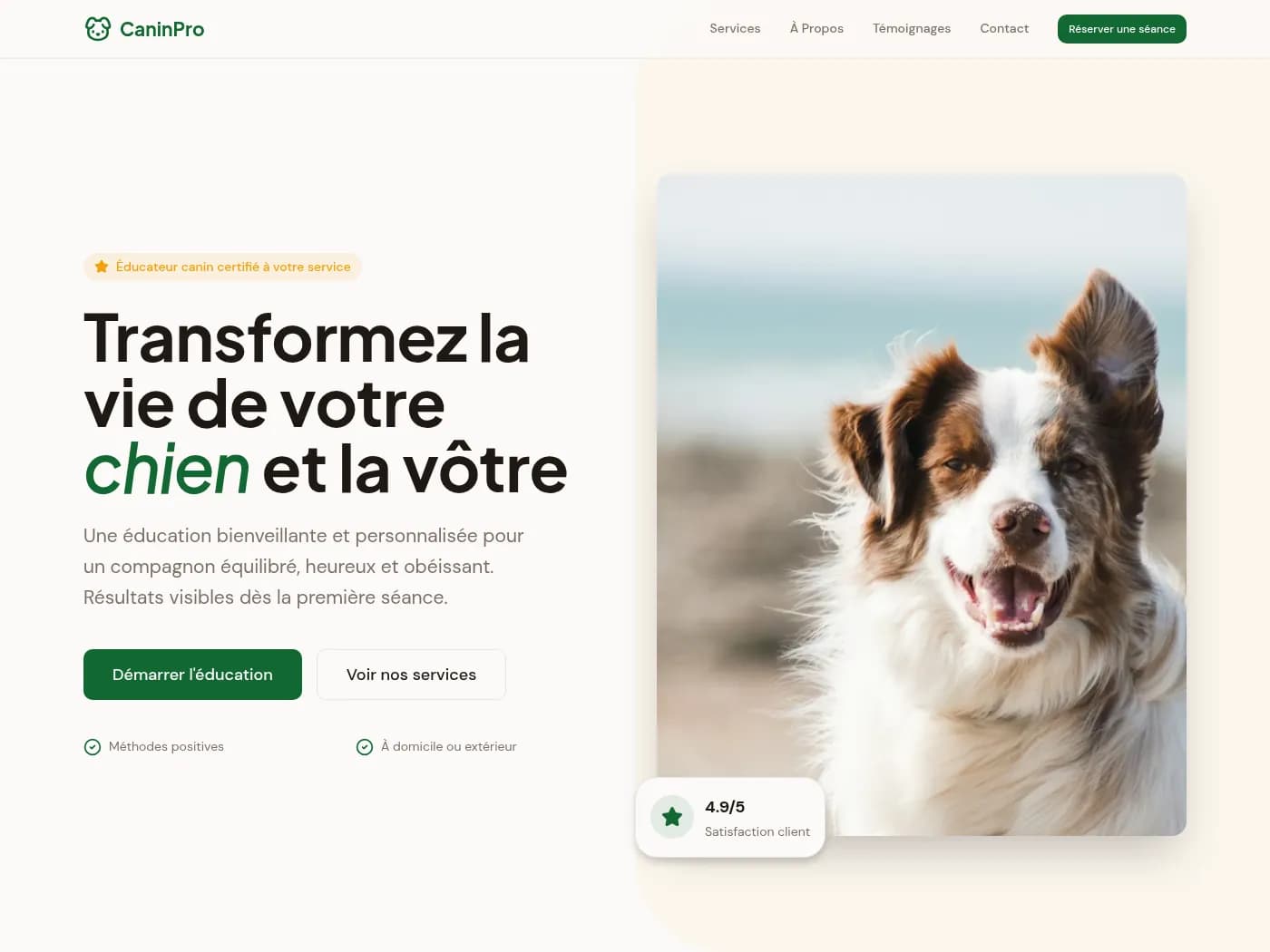 Dog Trainer Pro Site