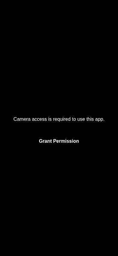 DualCam FX Studio
