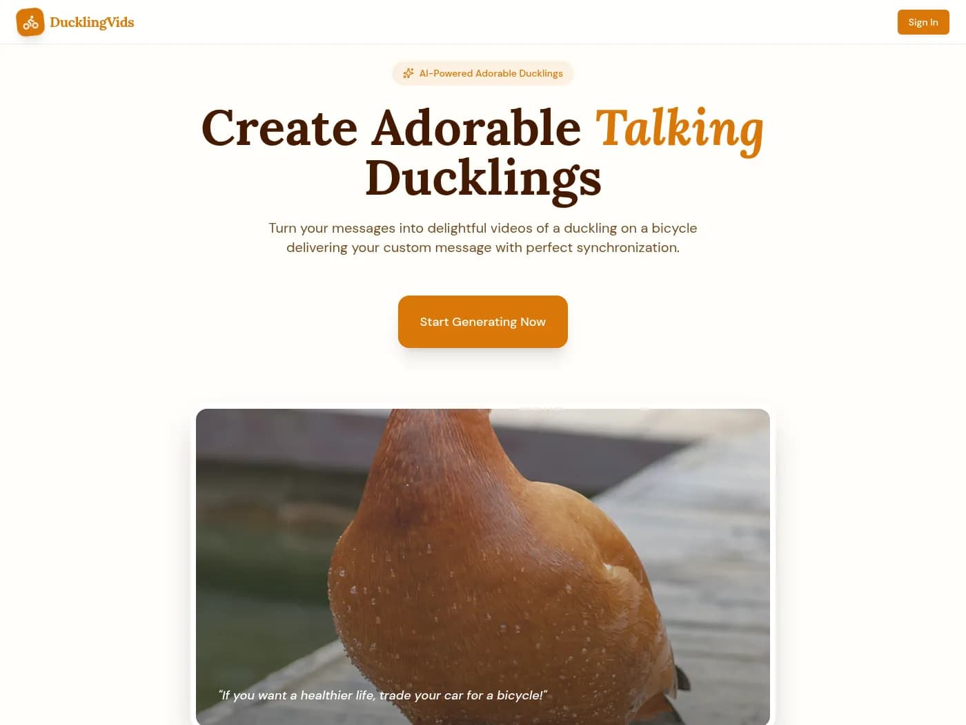 Duckling Video Generator