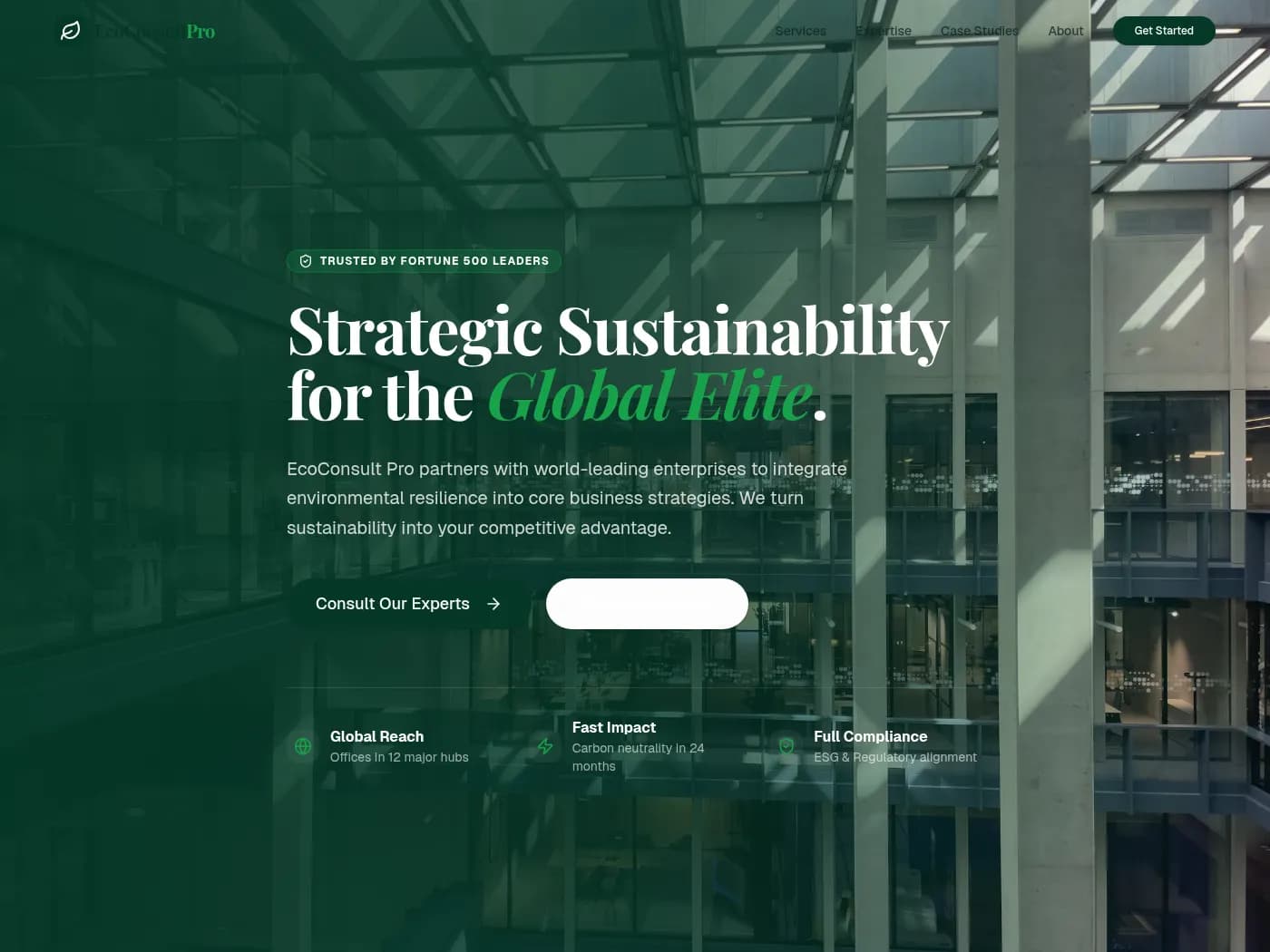 Rainier Environmental