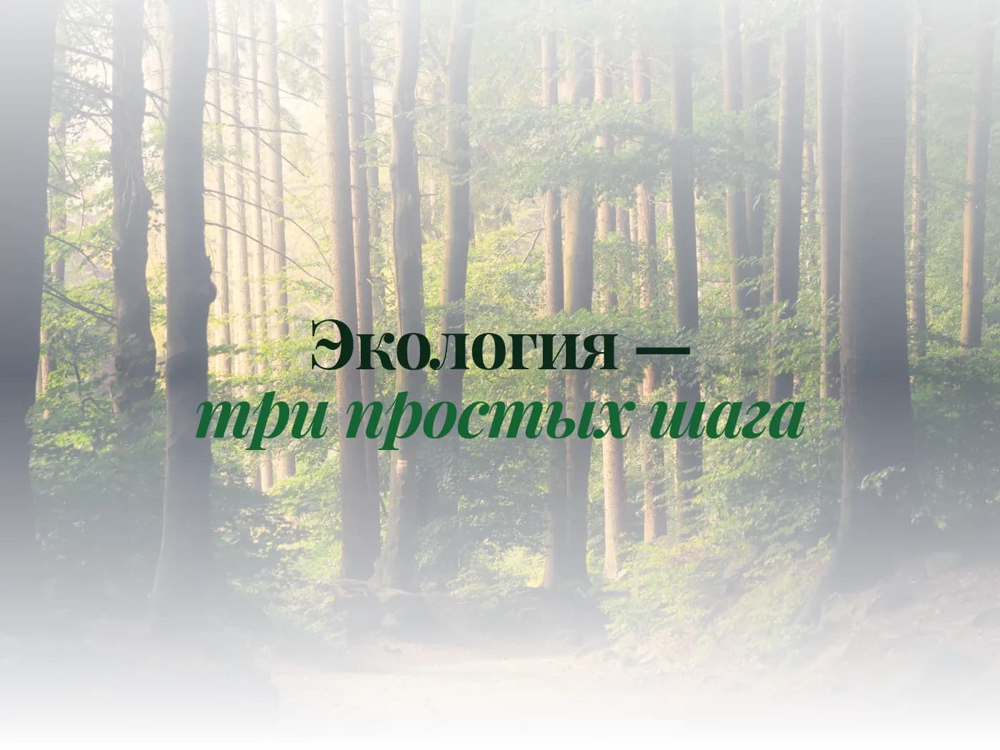 Eco Steps Web