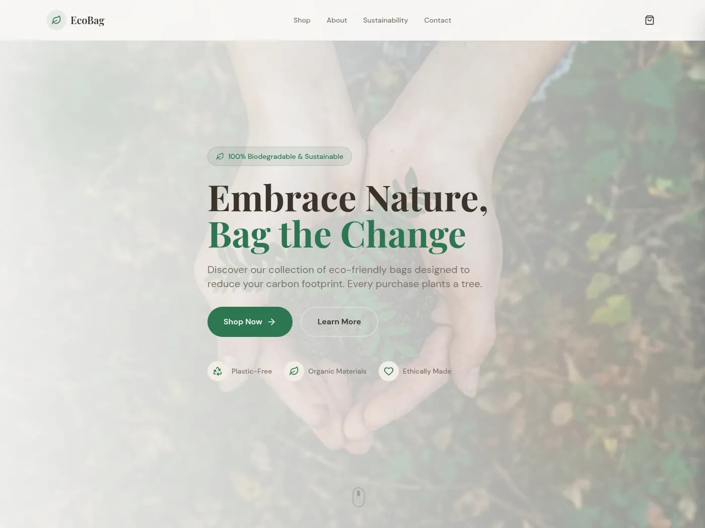 EcoBag E-Commerce Site
