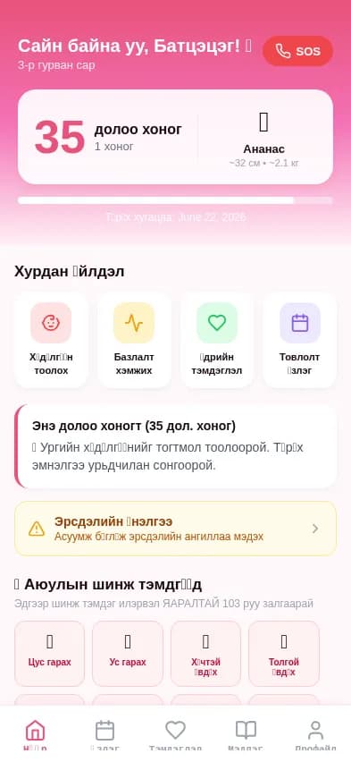 Ээж Боллоо Pregnancy App
