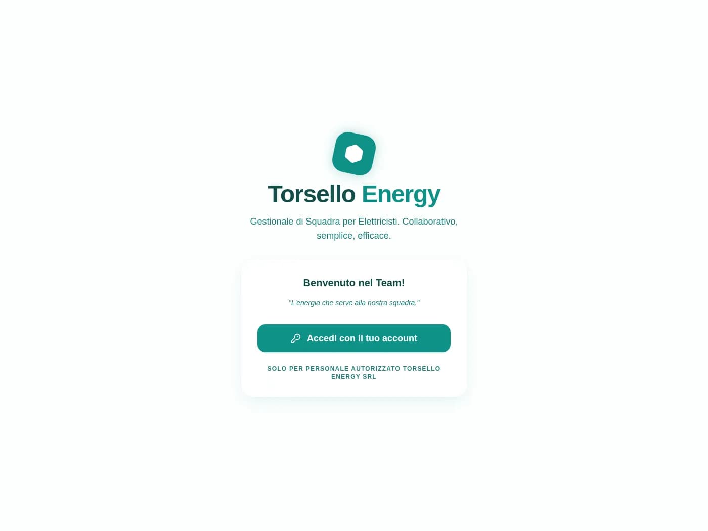 Torsello Energy Manager