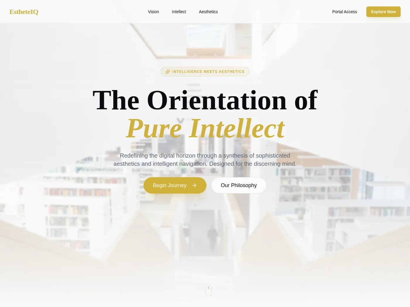 EstheteIQ Web Portal