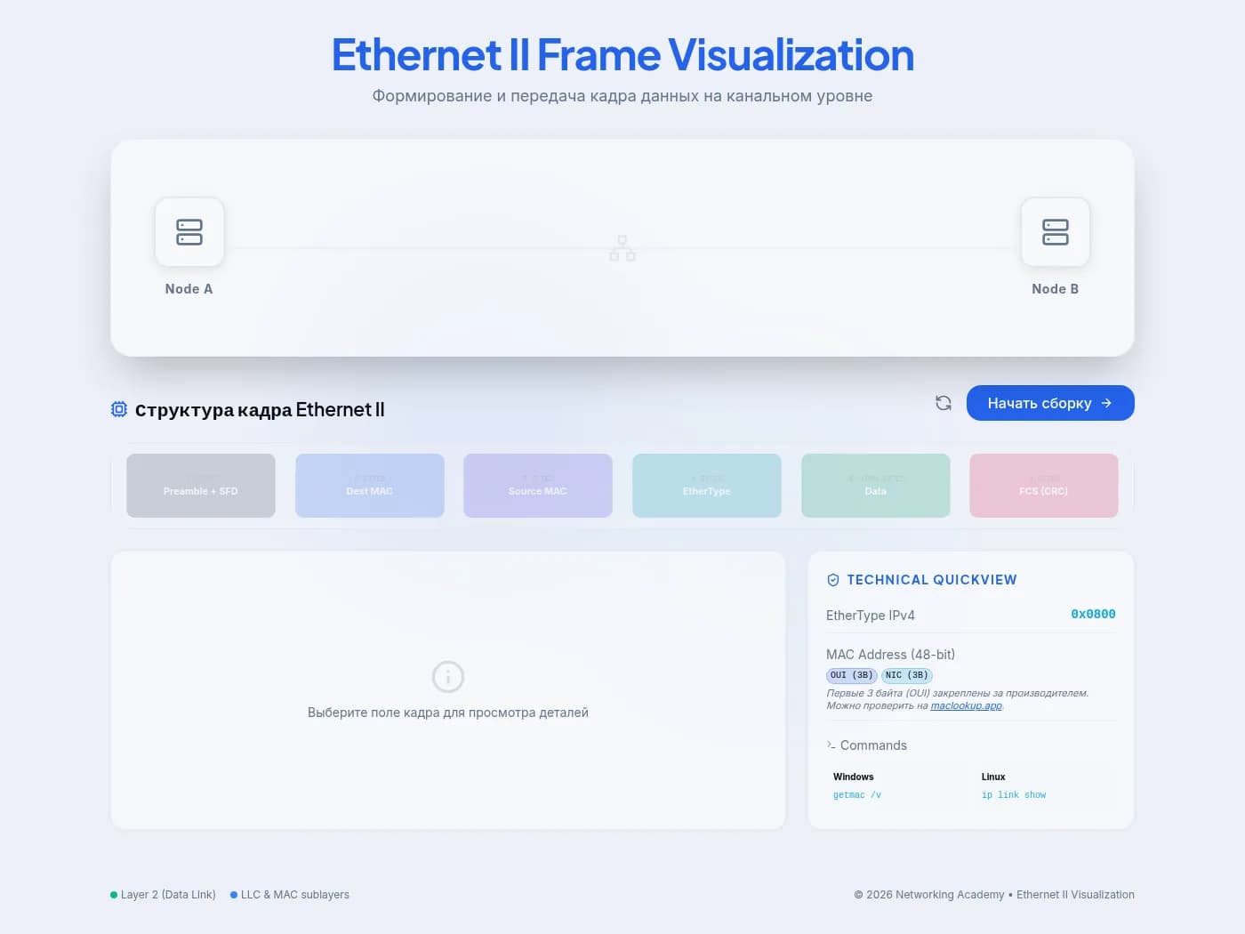 Ethernet Frame Viz