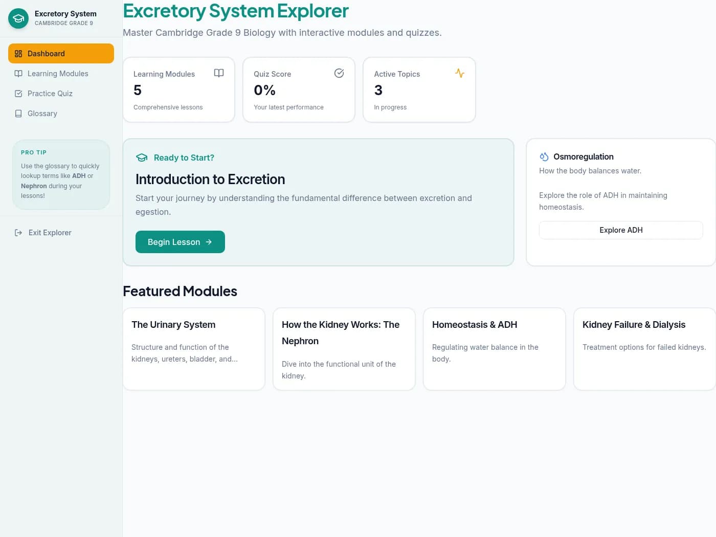 Excretory System Explorer