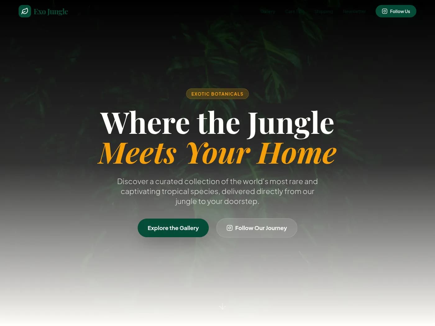 Exo Jungle Web Hub