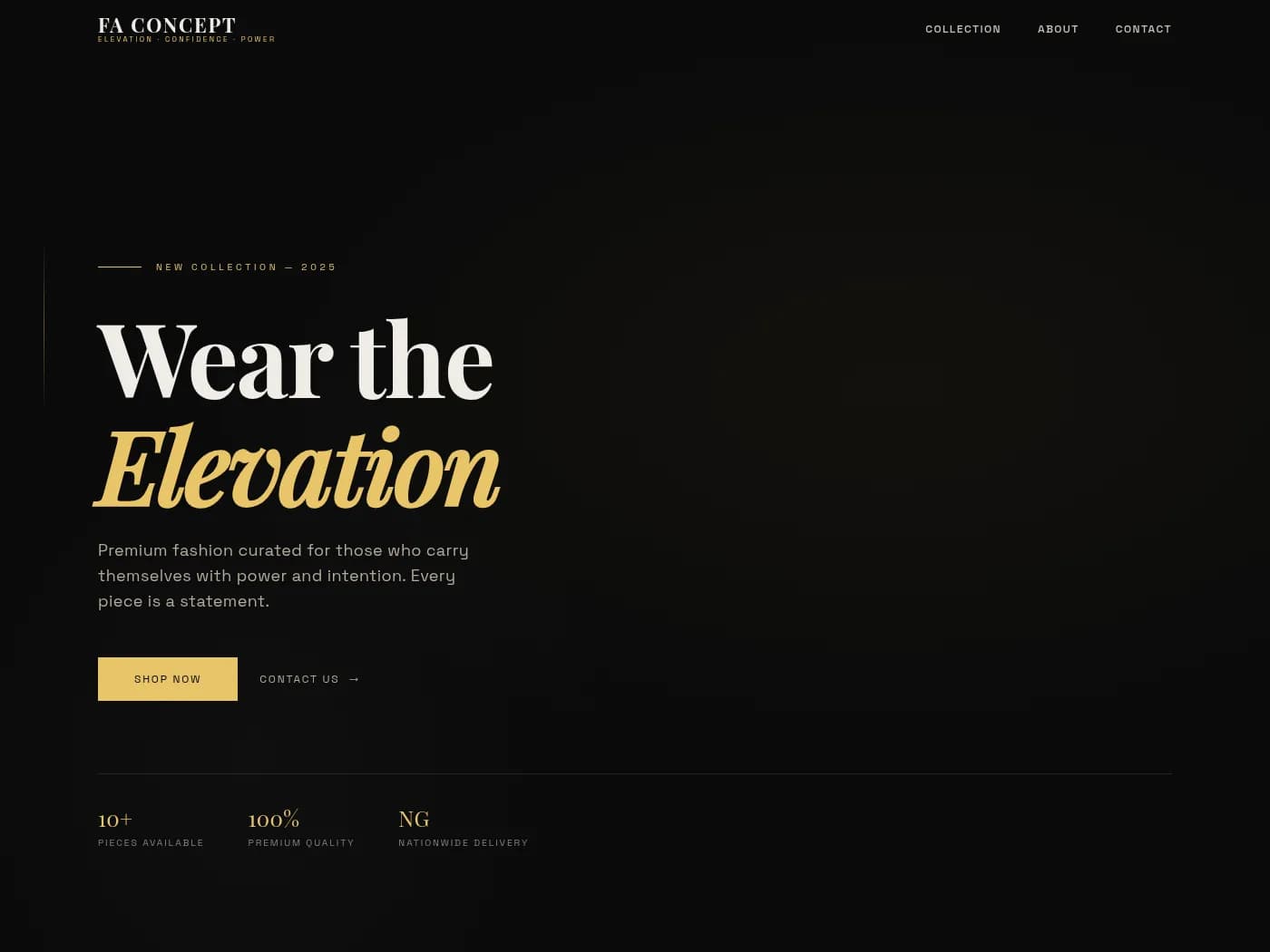 FA Concept Fashion Site