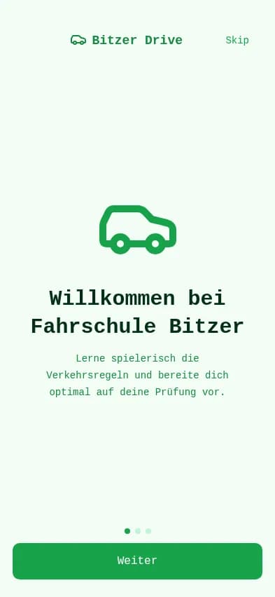 Fahrschule Bitzer Spiel