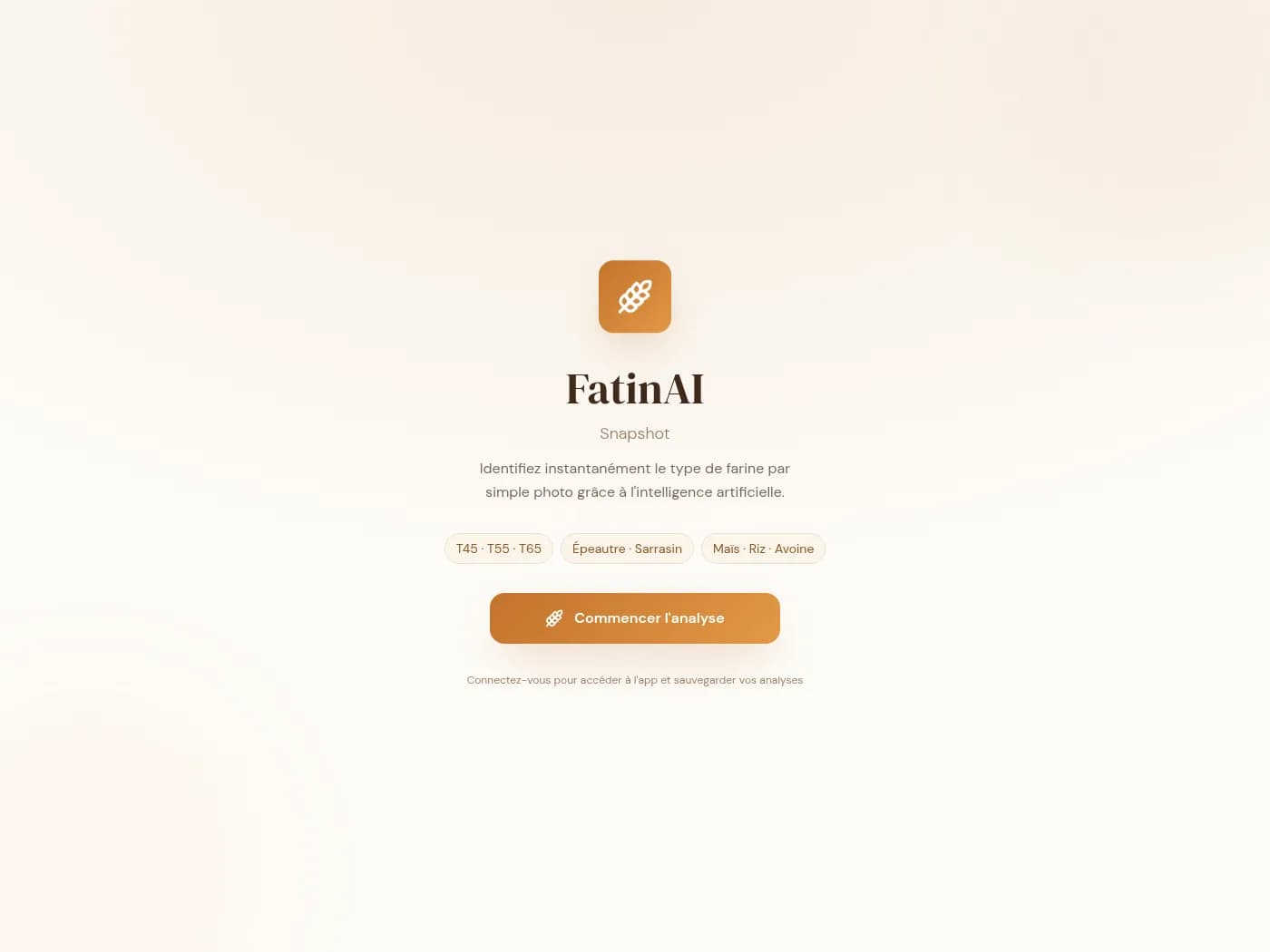 FatinAI Snapshot