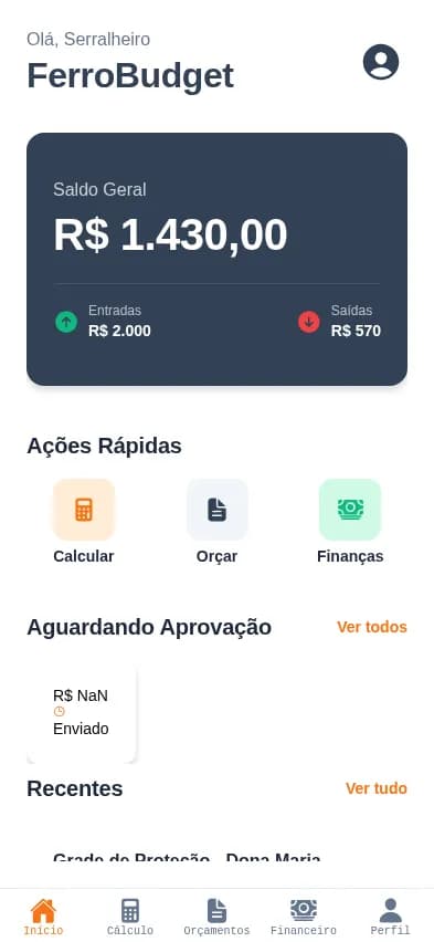FerroBudget App