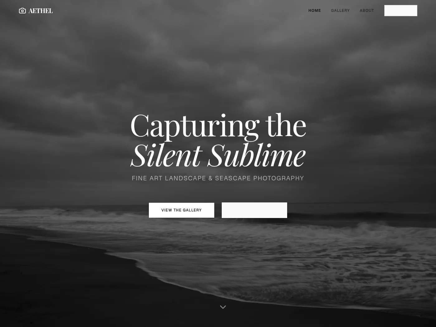 Fine Art Portfolio Site