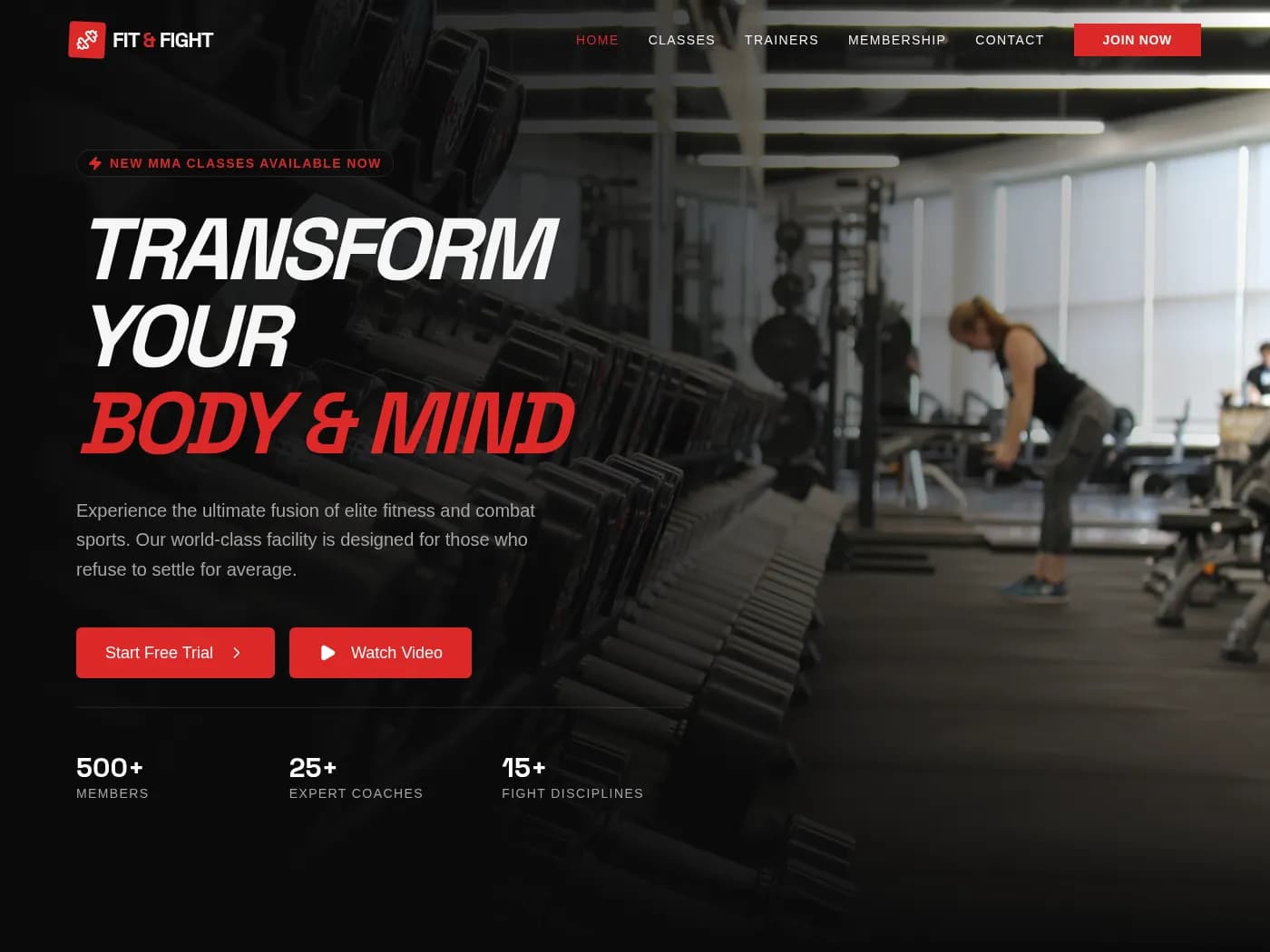 Fit and Fight Gym Site