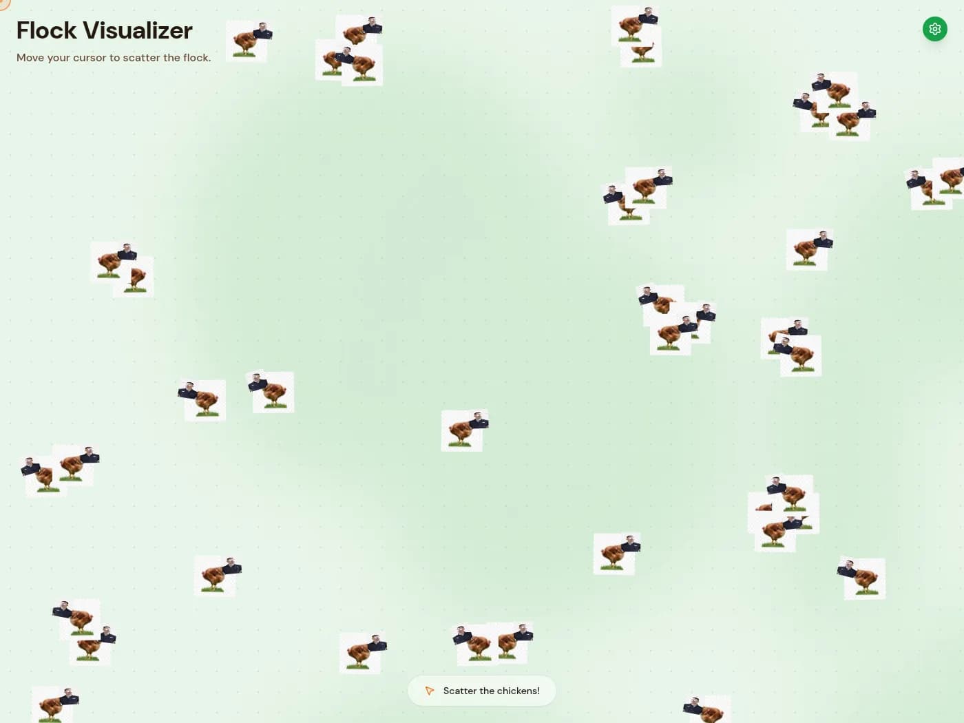 Flock Visualizer