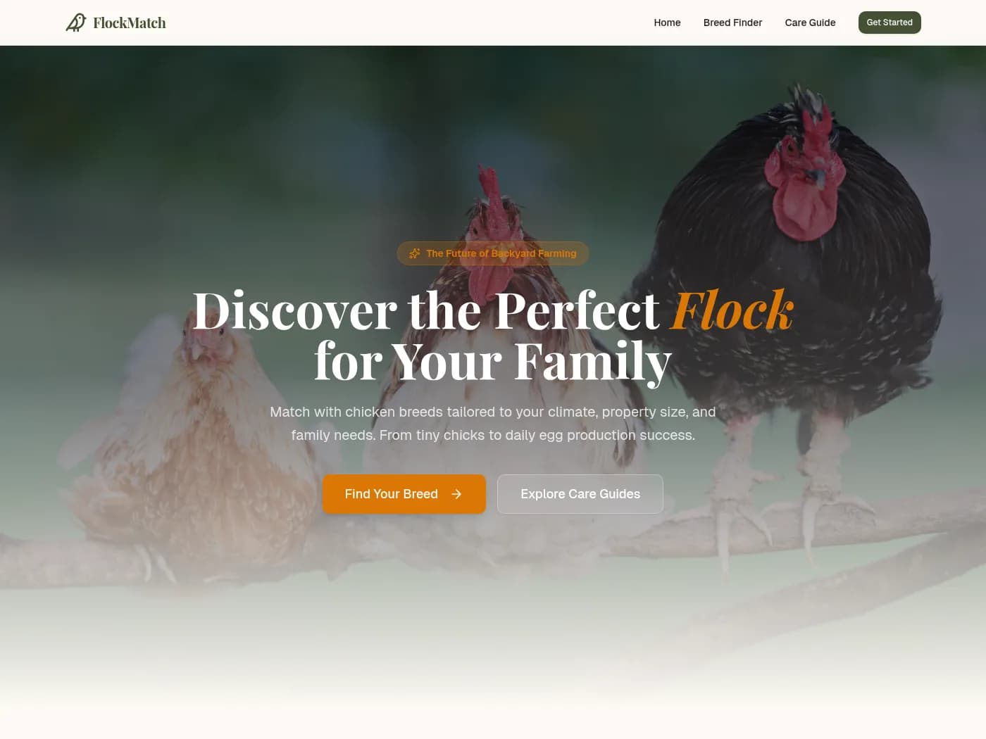 FlockMatch