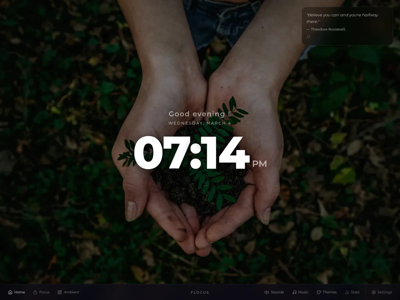 Flocus Web Clone