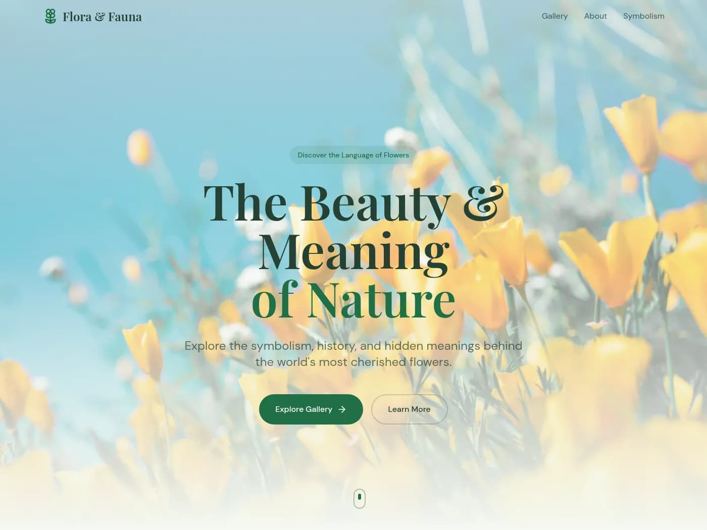Flora & Fauna Gallery
