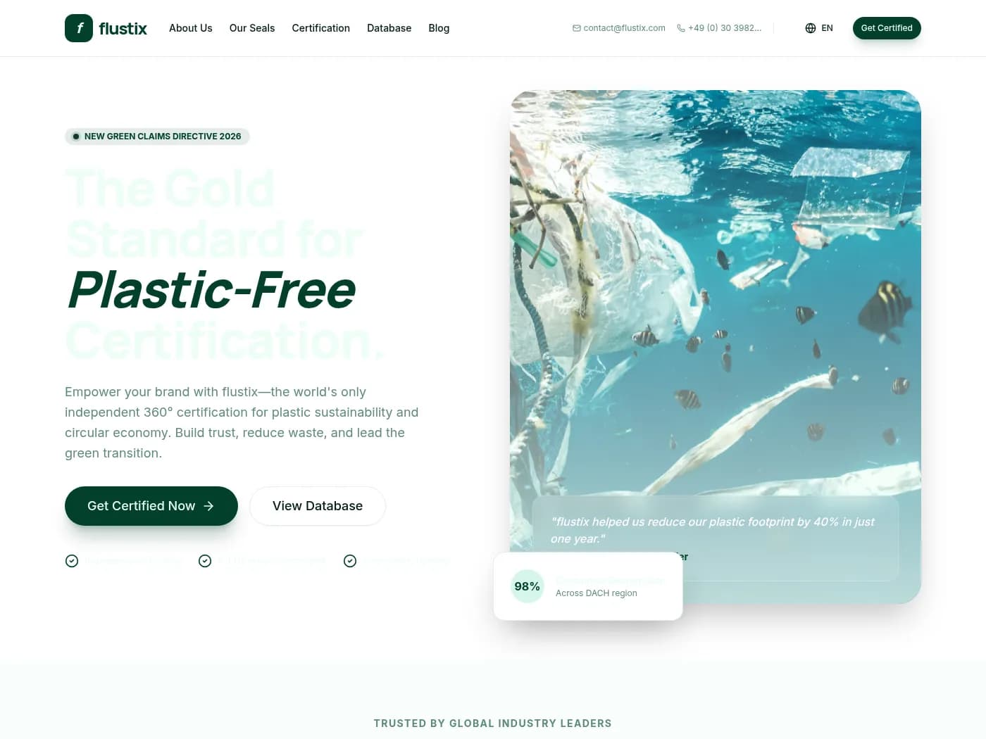 Flustix Pro Website