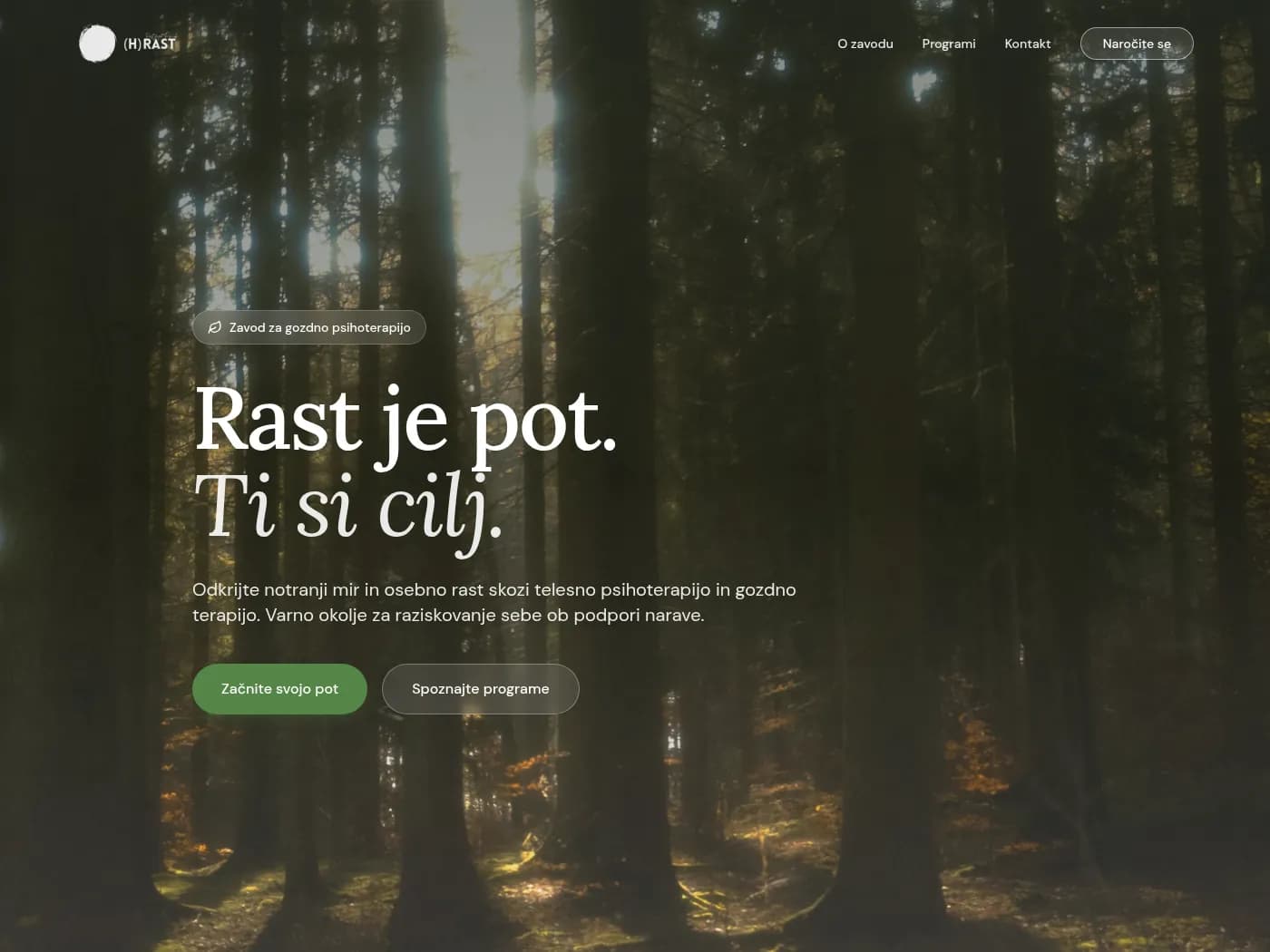 Forest Therapy Hub